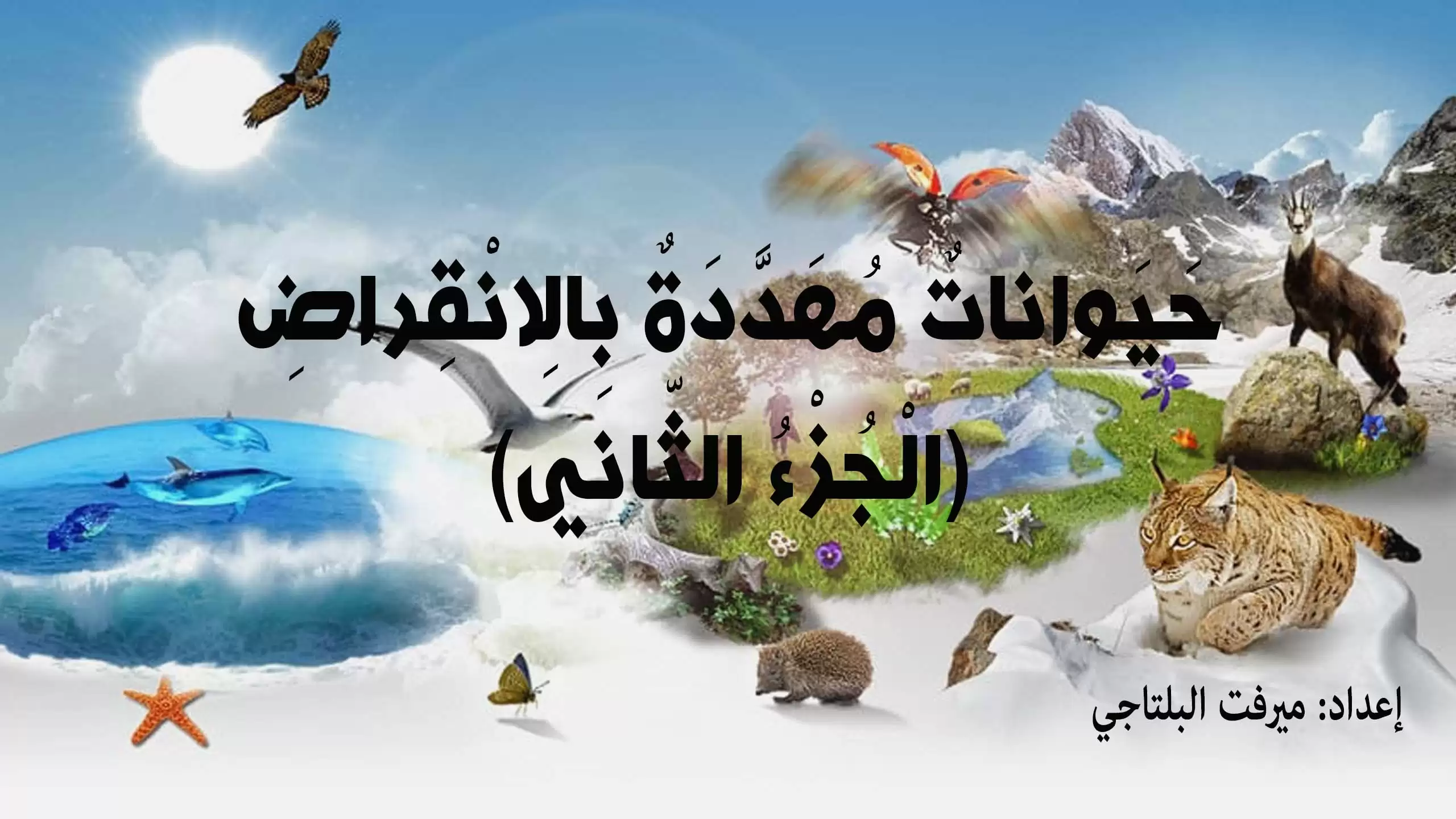 Endangered Animals (Part two) | Non-fiction for children