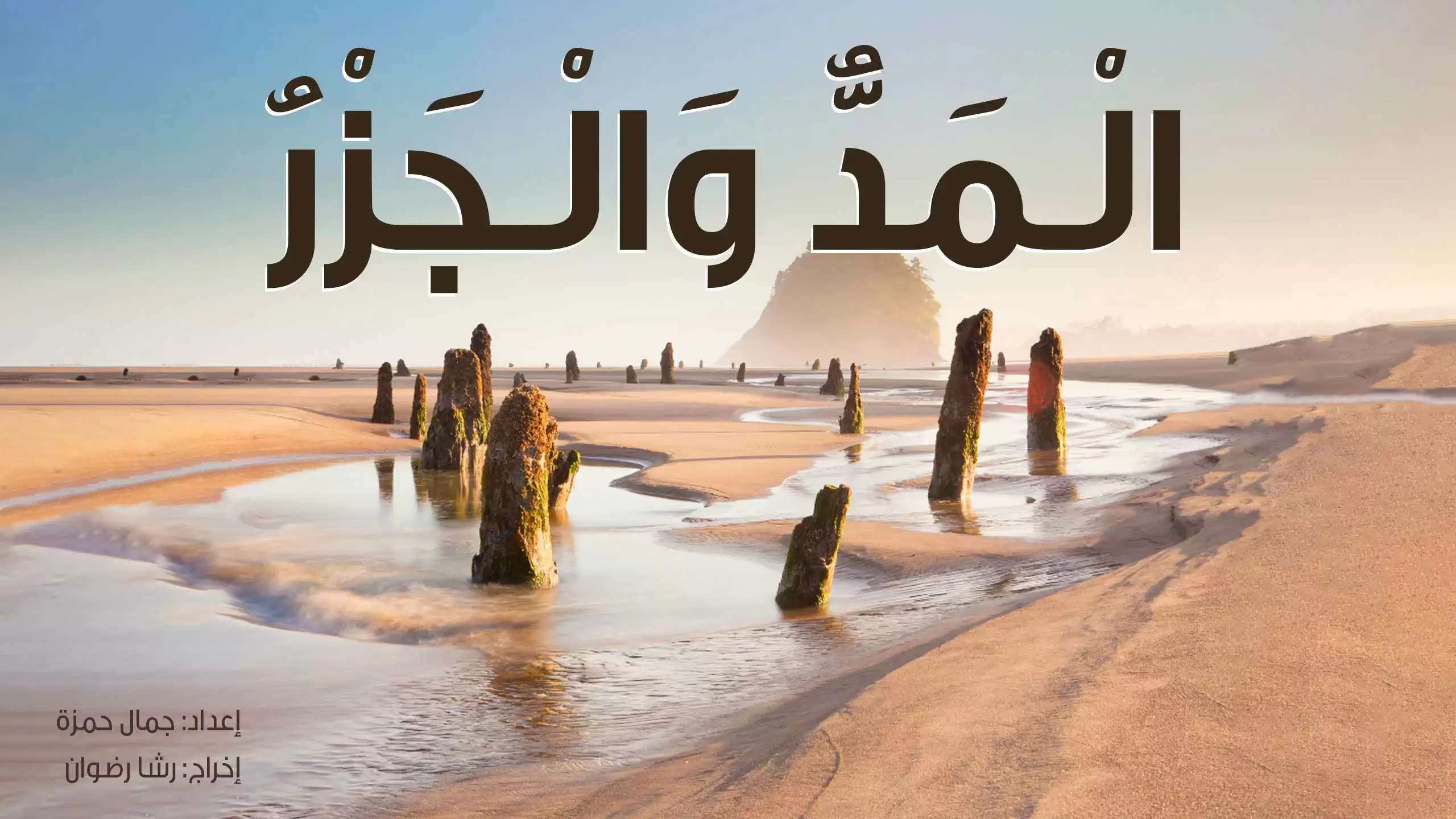 Tides | Science books for children