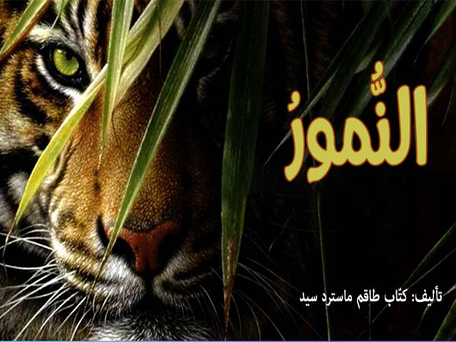 Tigers | Non-fiction for children