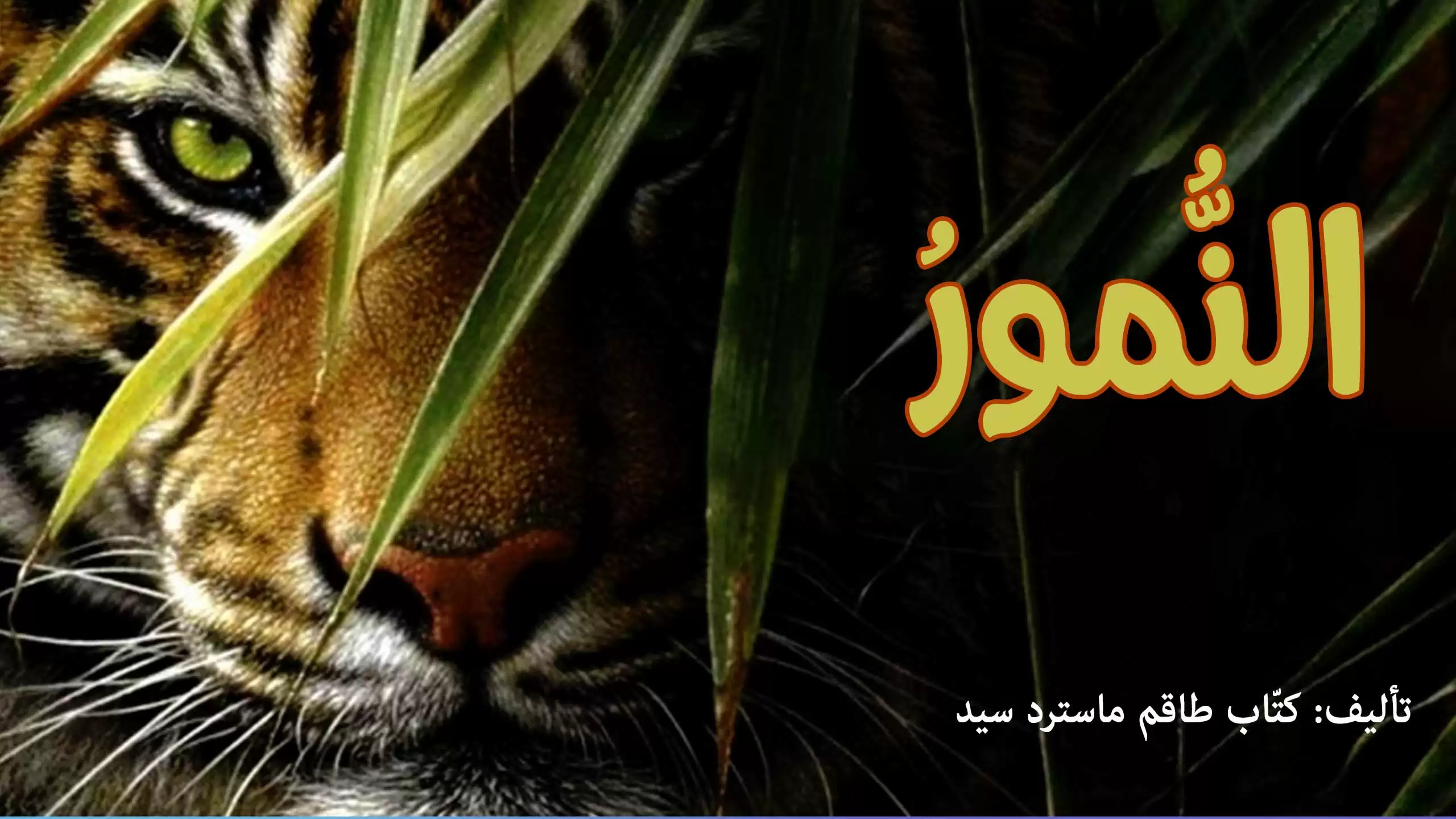 Tigers | Non-fiction for children